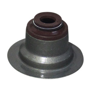 Portal de clientes FCByFauci